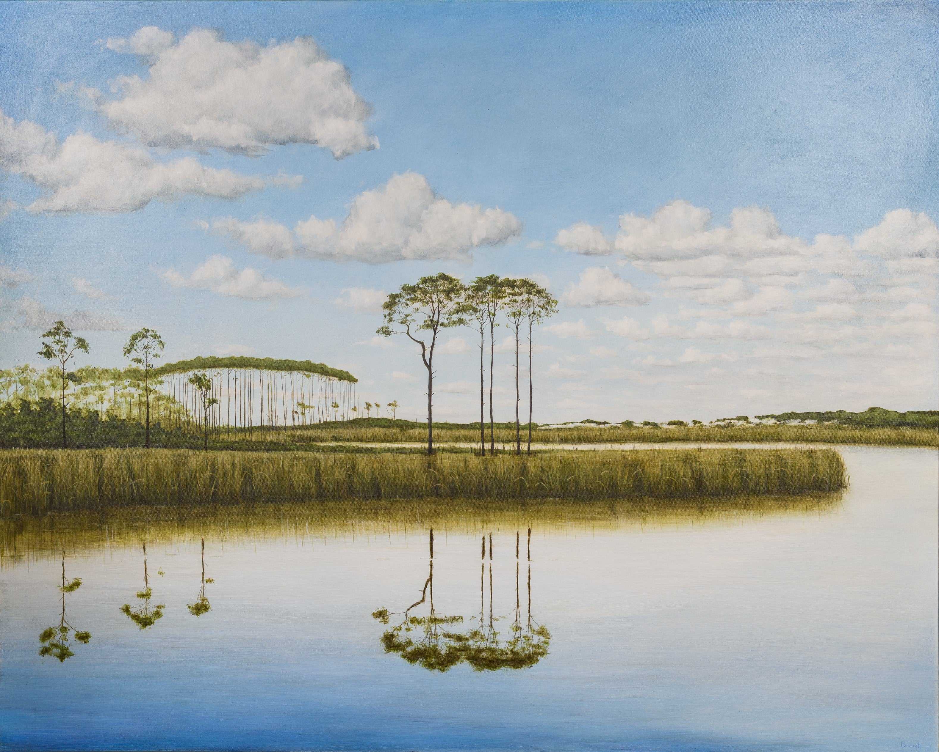 collect – Thestudiogallery30a